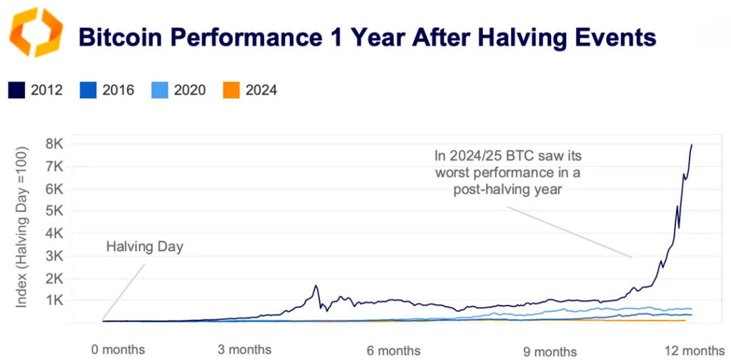 Bitcoin’s halving anniversary: This cycle was different - CVJ.CH
